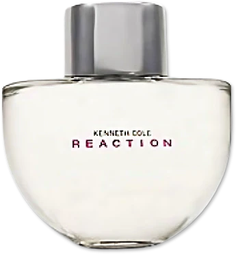 Kenneth Cole Reaction 3.4 OZ EDP SP – Parfumelle
